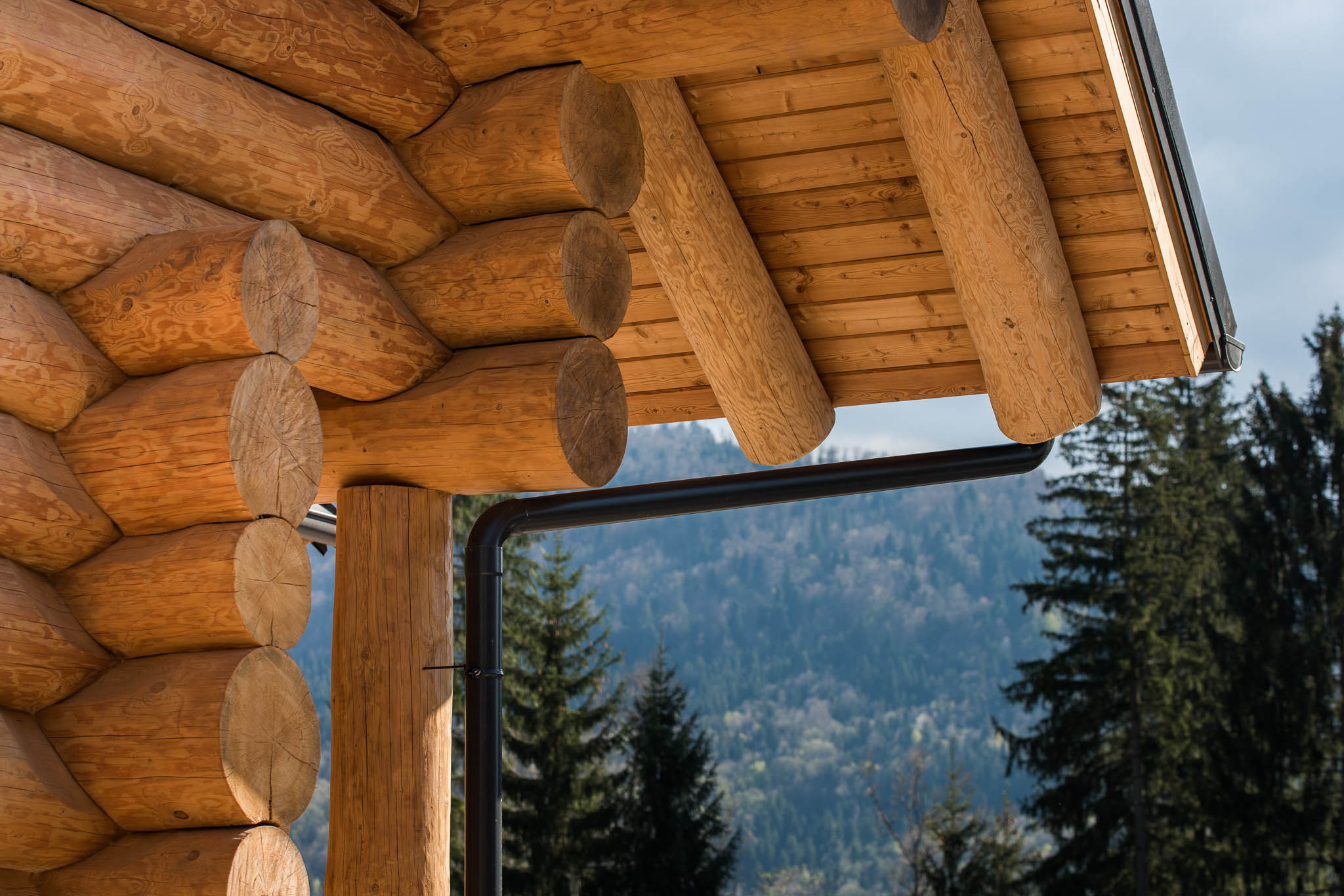 Izbor izgleda masivne hiše • Natural Log House